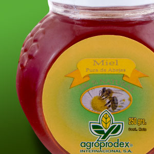 Miel - Frasco Vidrio 250 grs. | Agroprodex